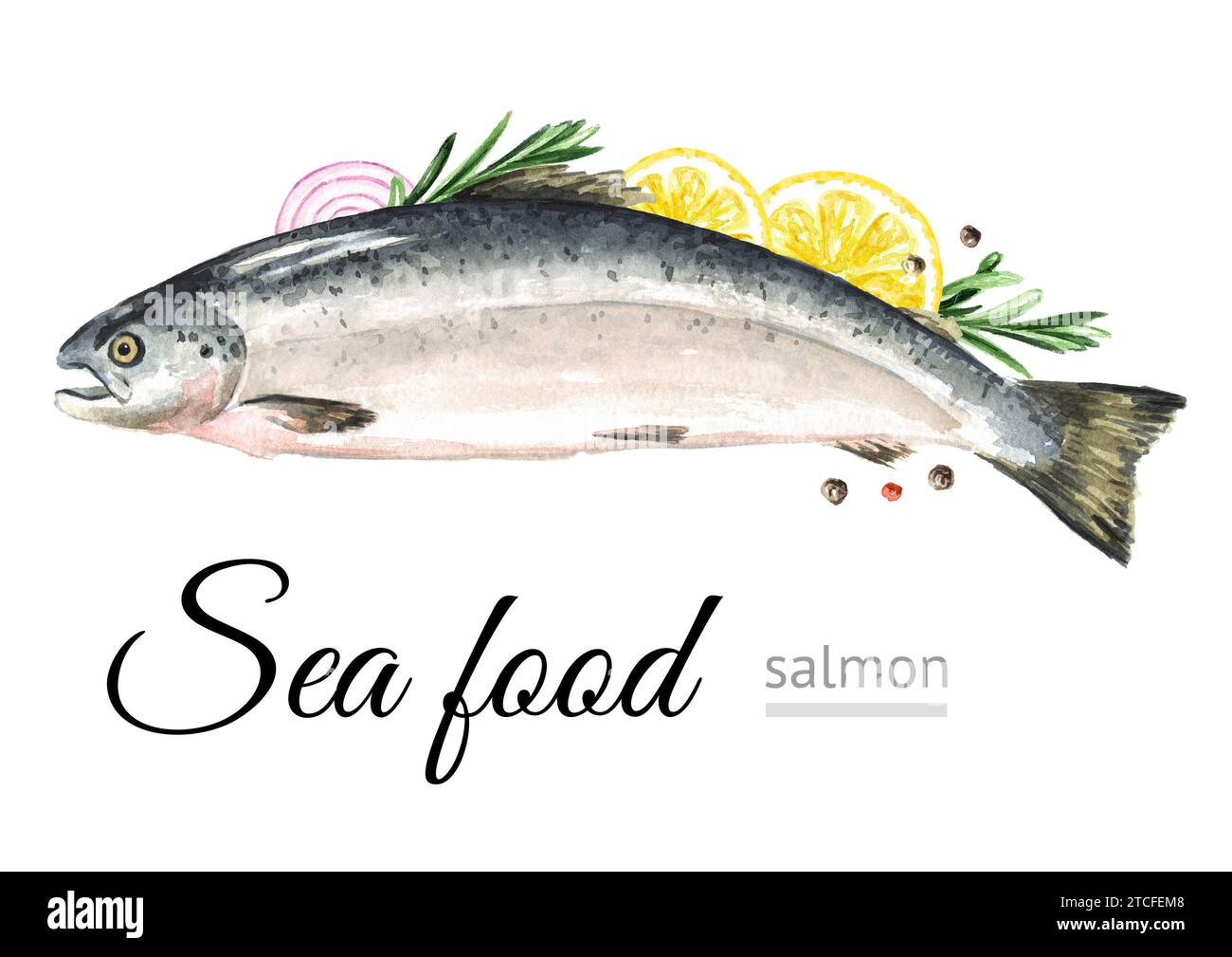 Fresh fish Salmon, seafood. Hand drawn watercolor illustration ...