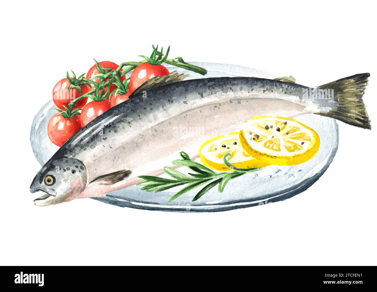 Fresh fish salmon. Hand drawn watercolor illustration, isolated on ...