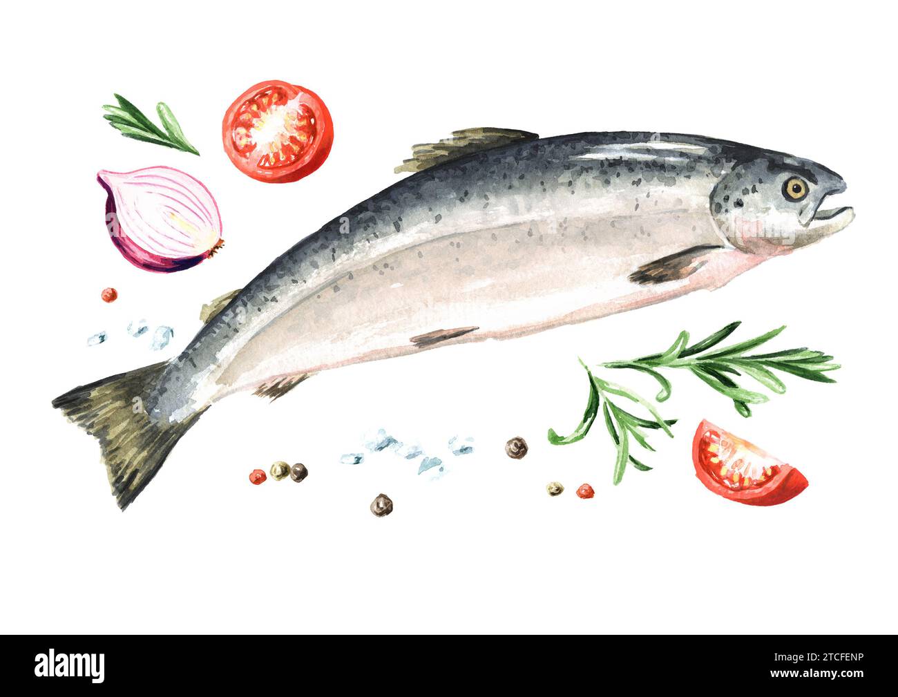 Fresh fish Salmon. Hand drawn watercolor illustration, isolated on ...