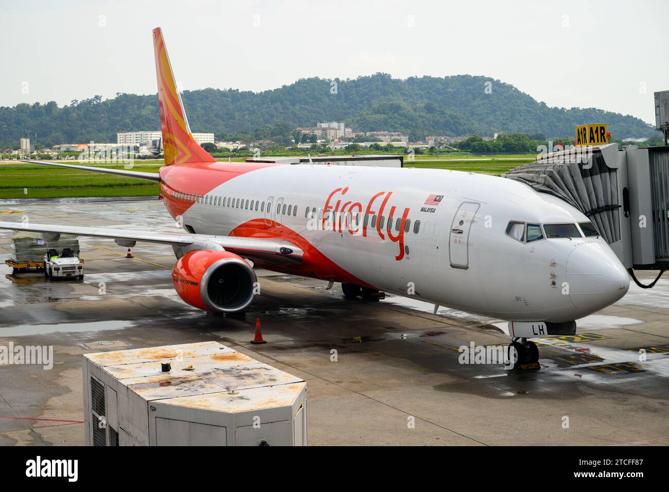 Firefly airline boeing 737 hi-res stock photography and images - Alamy