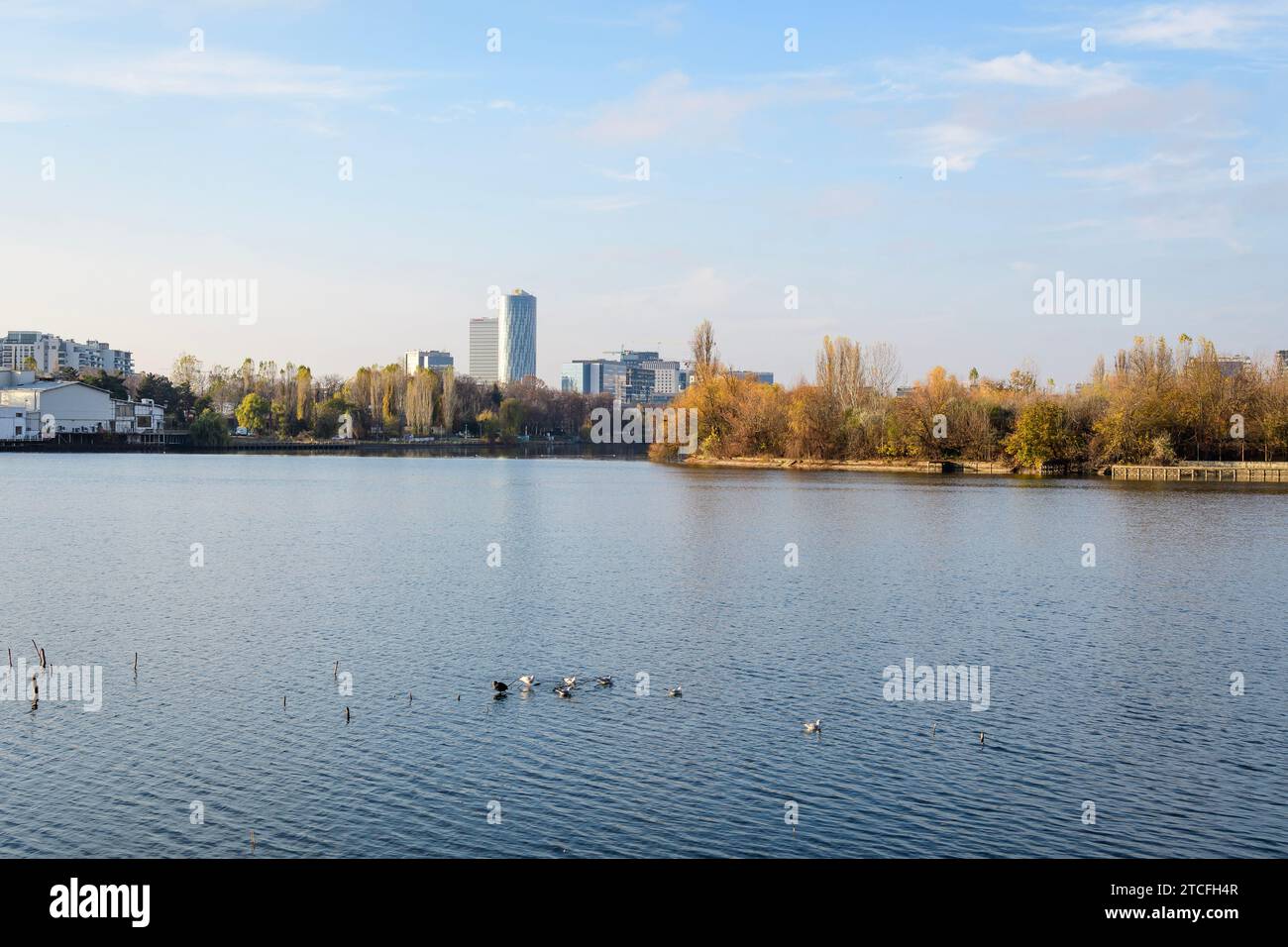 Landscape with trees and the lake in Linden Park (Parcul Tei), in ...