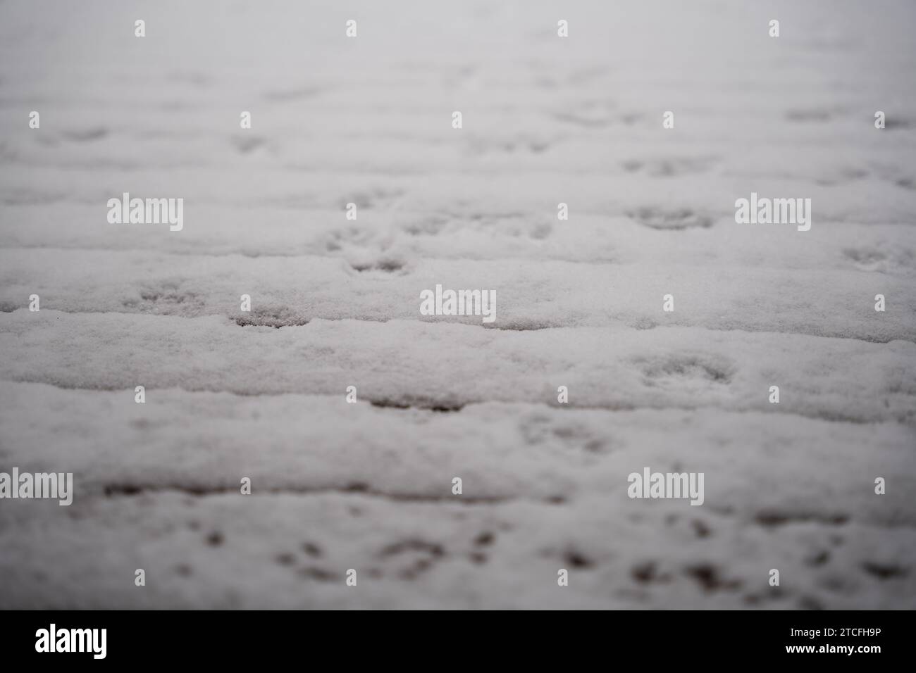 Snow on the Ground Stock Photo - Alamy