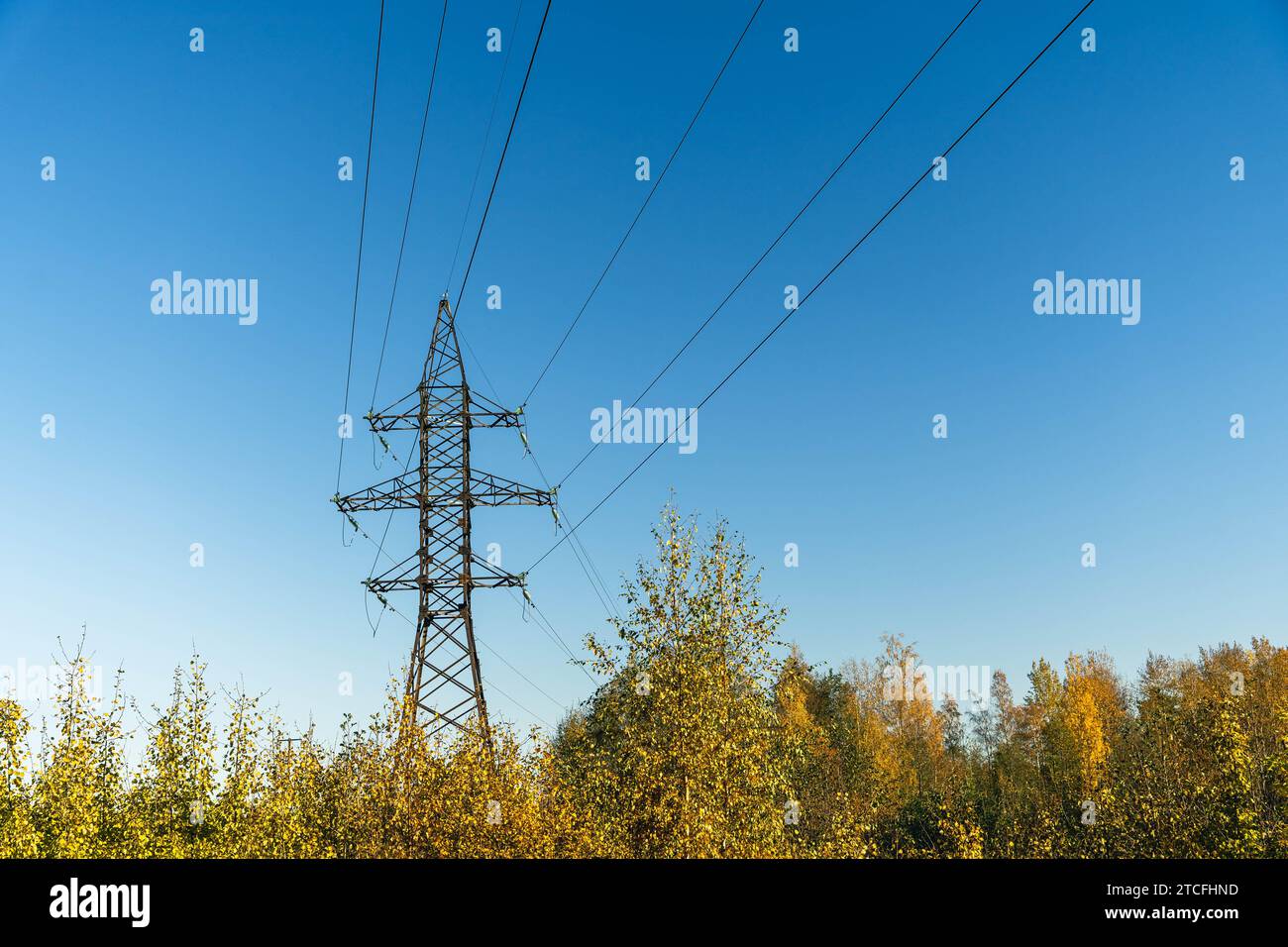 This striking image showcases the towering iron trusses supporting high ...