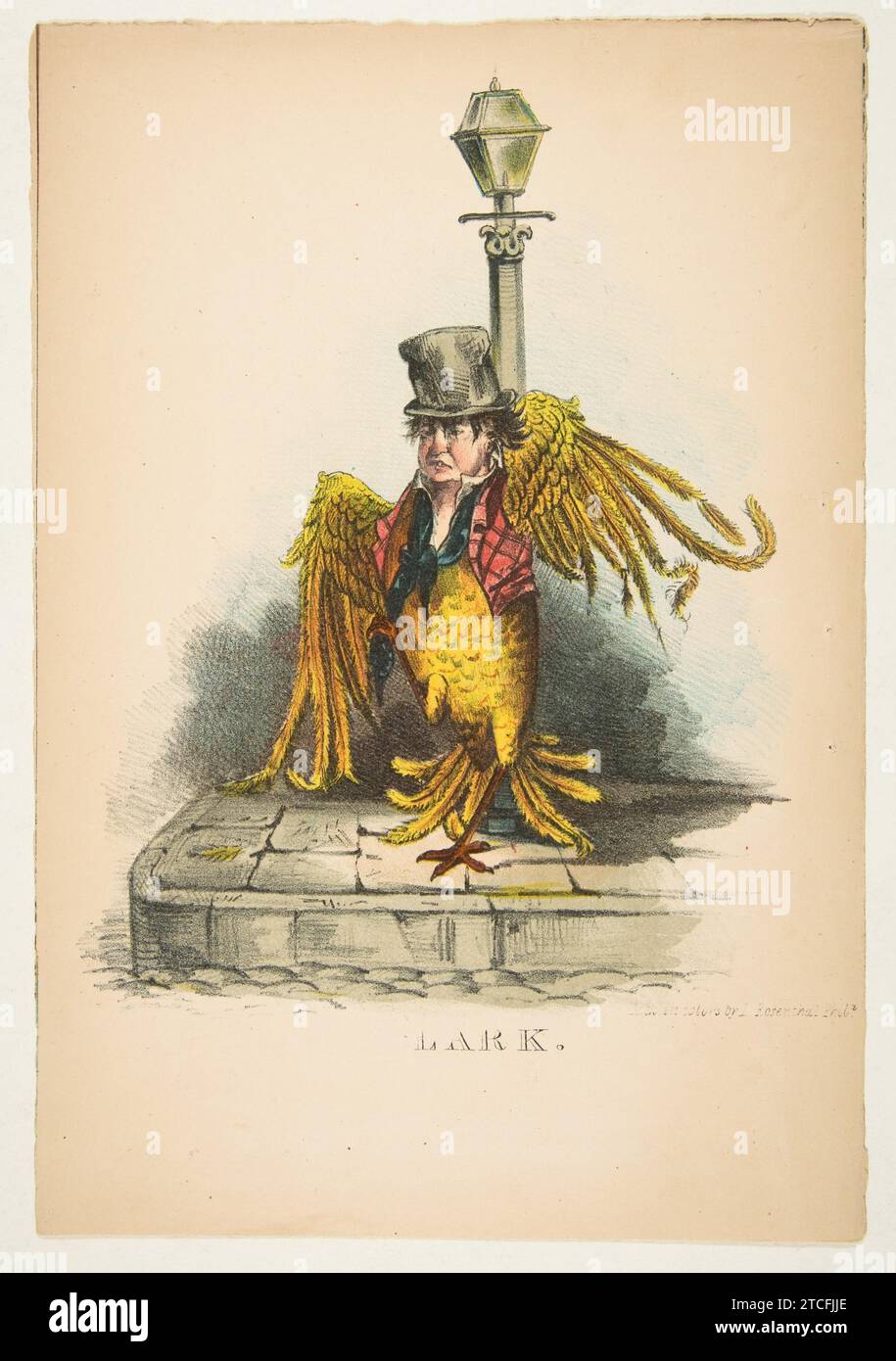 Lark, from The Comic Natural History of the Human Race 1964 by Henry ...