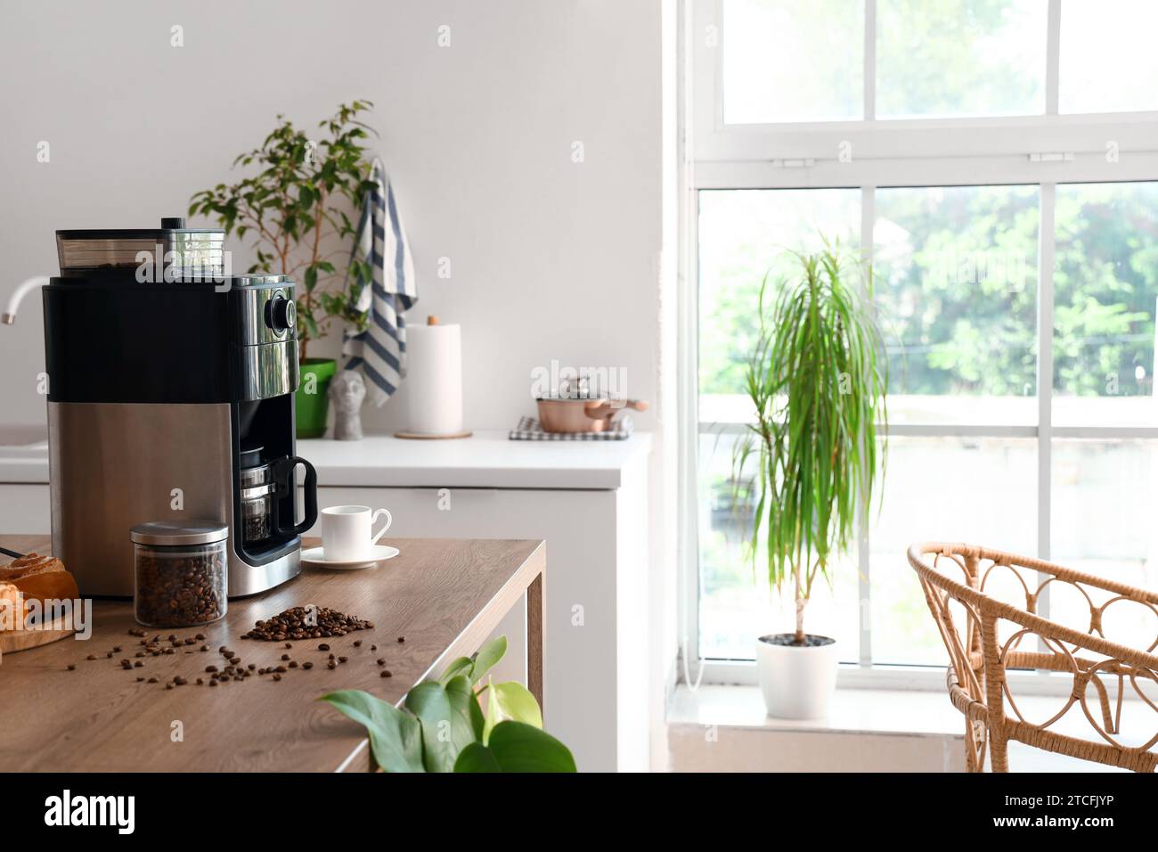 Modern coffee machine with jar of roasted beans and cup on table in ...