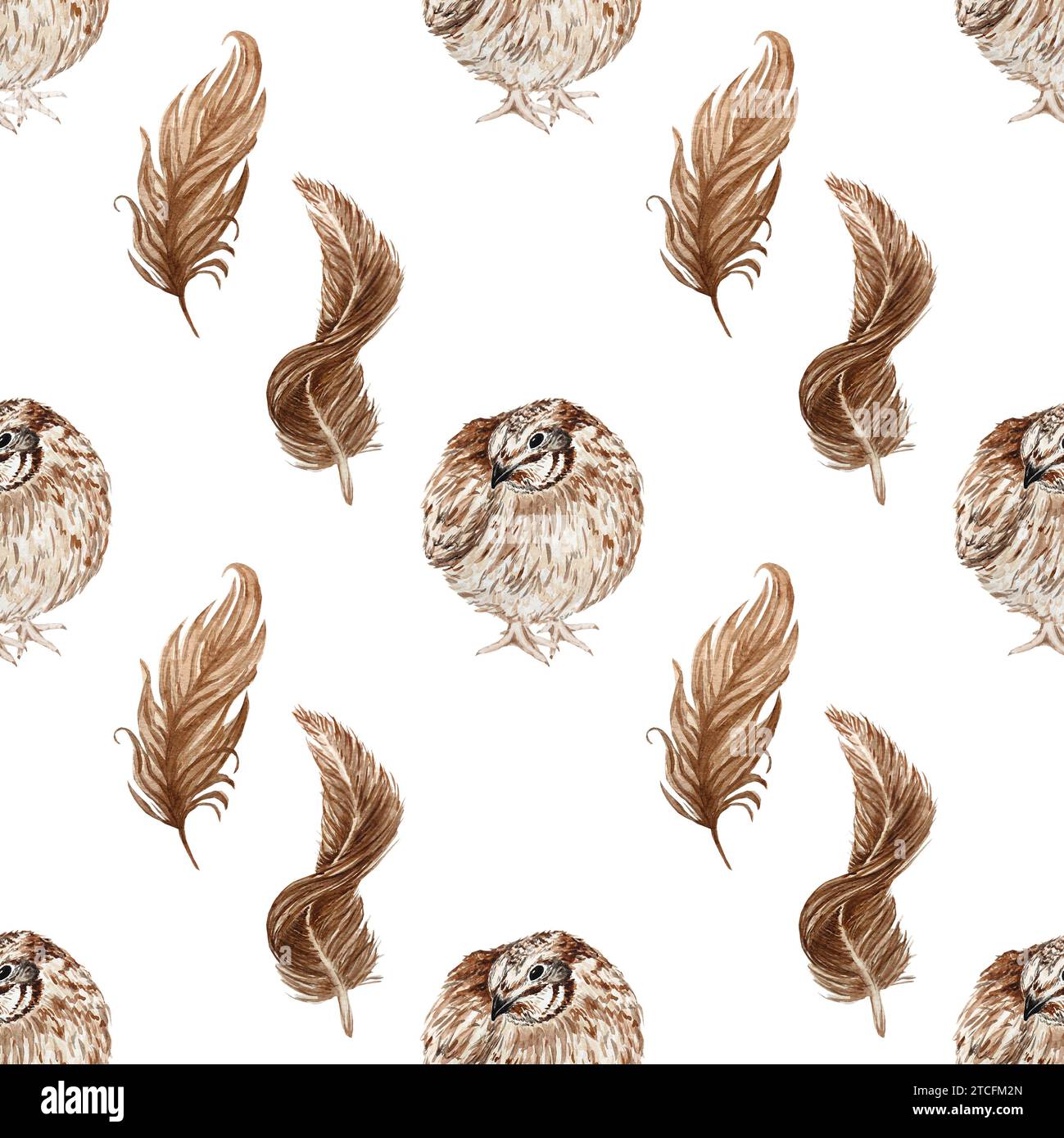Watercolor seamless pattern with quail, bird, chicken feathers ...