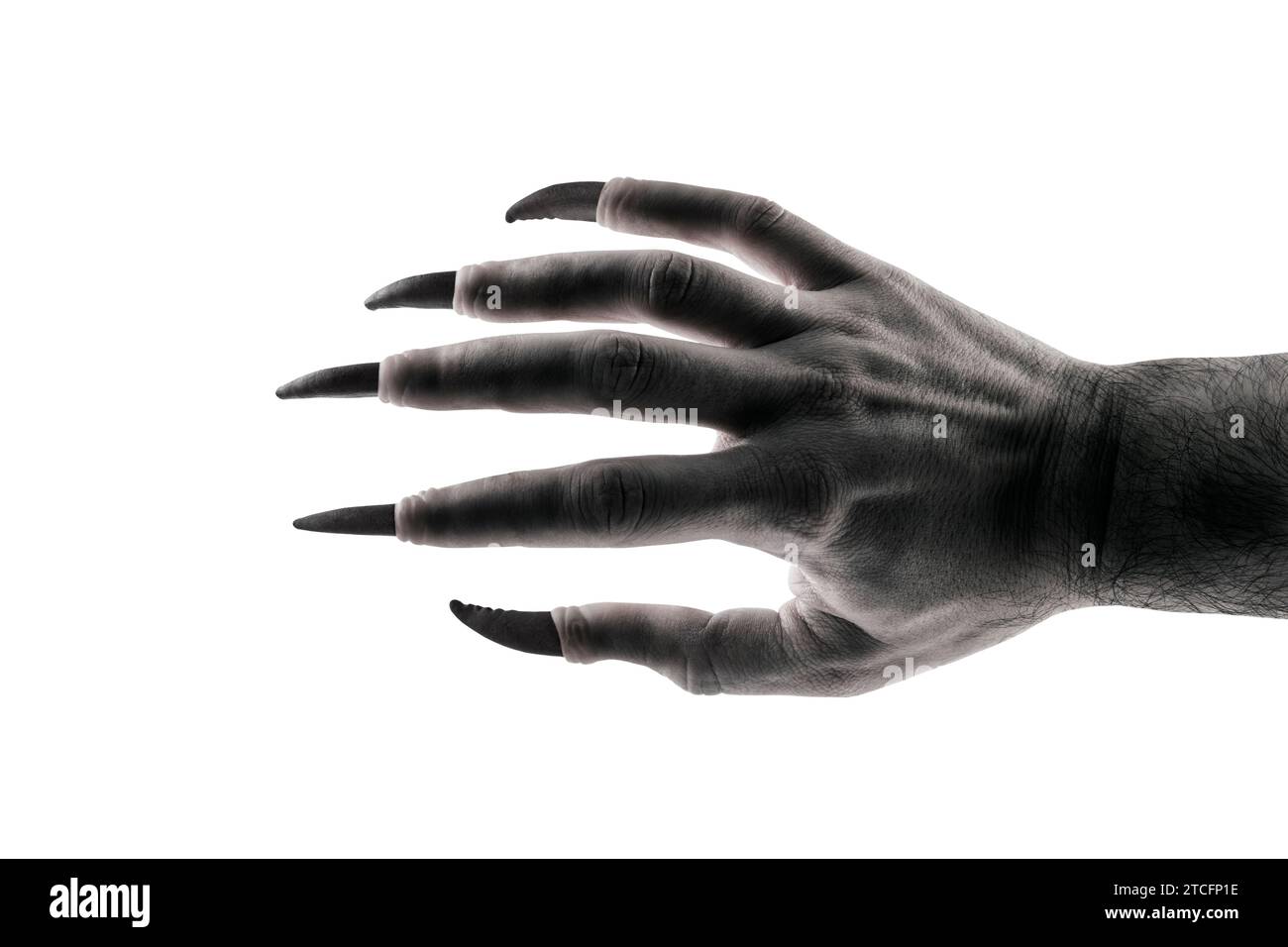 Creepy monster hand with black claws isolated on white background with ...
