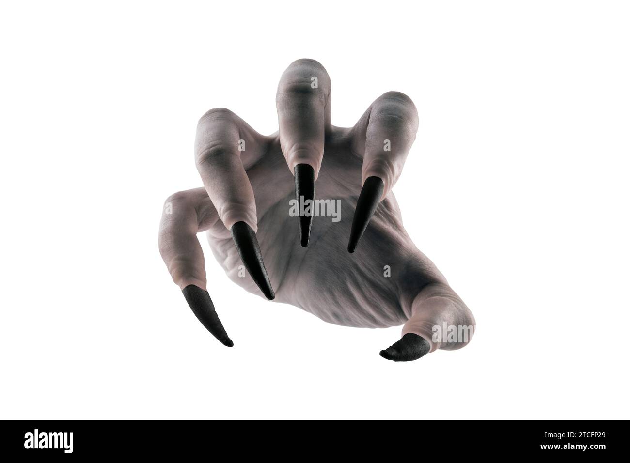 Creepy monster hand with black claws isolated on white background with ...