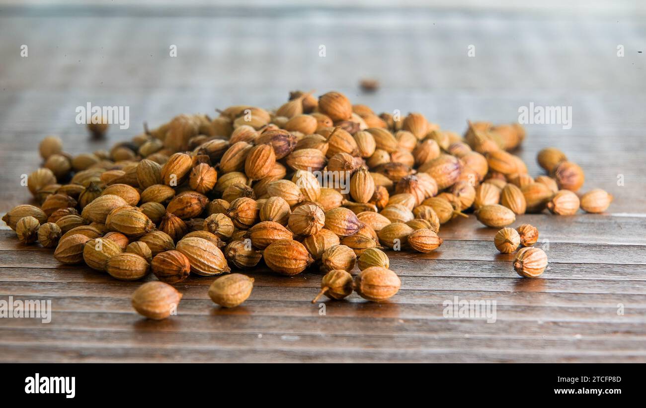 From seed to table hi-res stock photography and images - Alamy