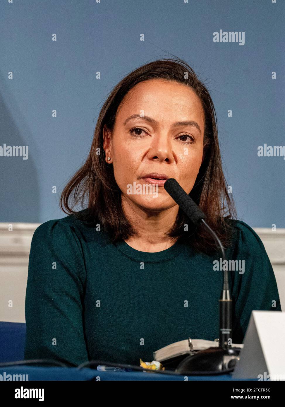 Deputy mayor Ana J. Almanzar is present during a press conference at ...