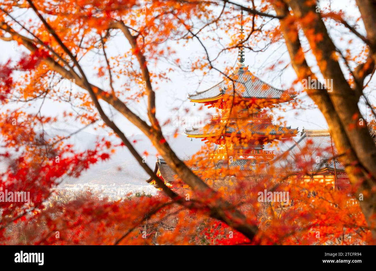 Beautiful serene temples in hi-res stock photography and images - Alamy