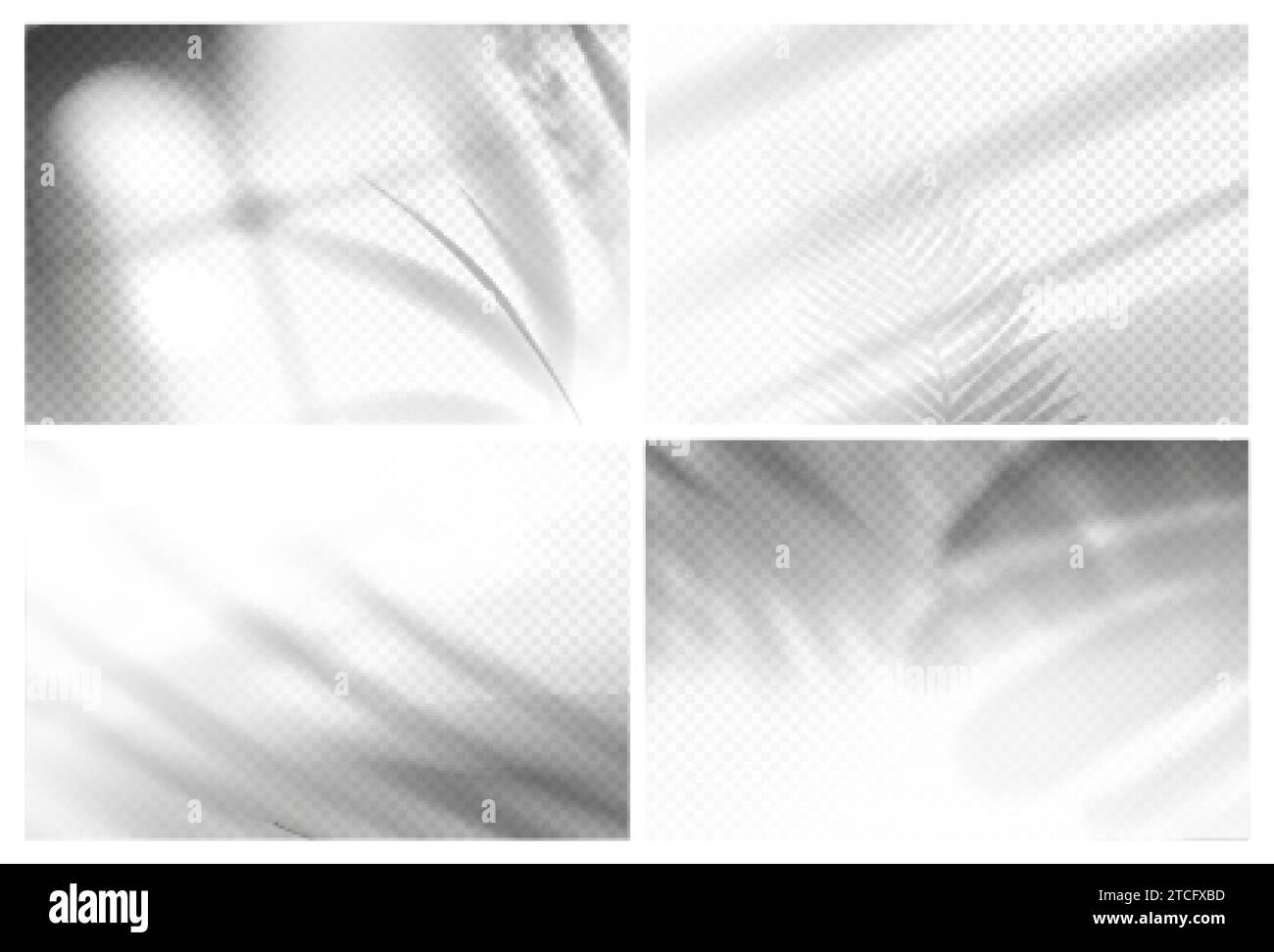 Shadow overlay effect backgrounds set. Vector realistic palm and plant ...