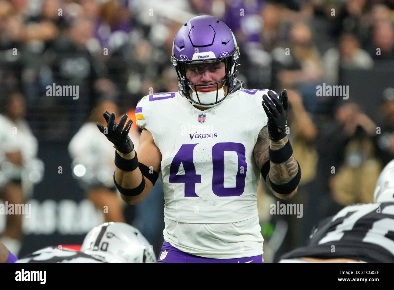 Minnesota Vikings linebacker Ivan Pace Jr. (40) lines up against the ...