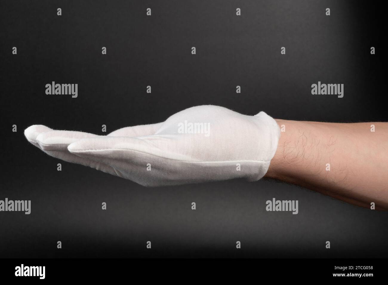 Hand wearing black glove holding hi-res stock photography and images ...