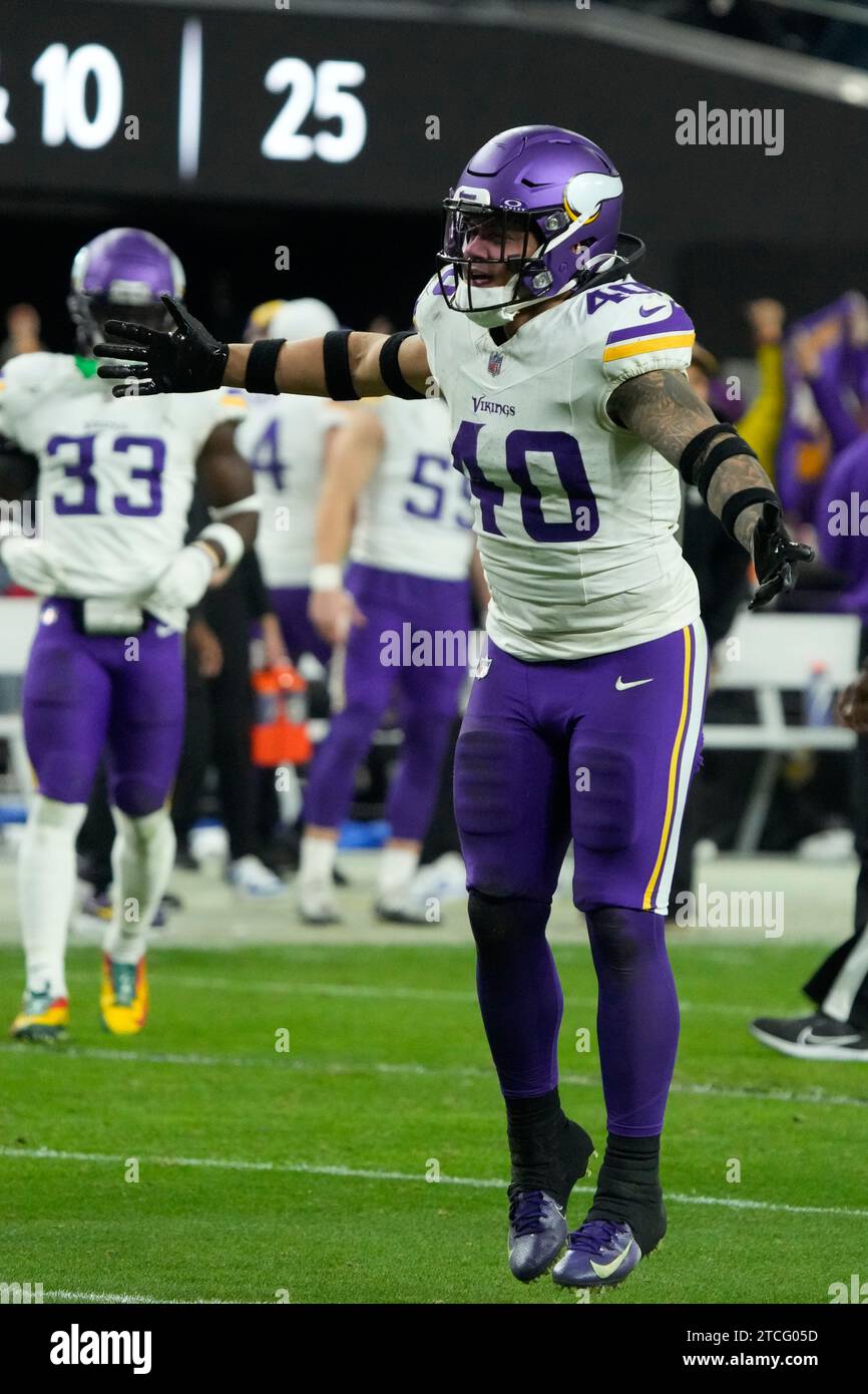 Minnesota Vikings linebacker Ivan Pace Jr. (40) celebrates after ...