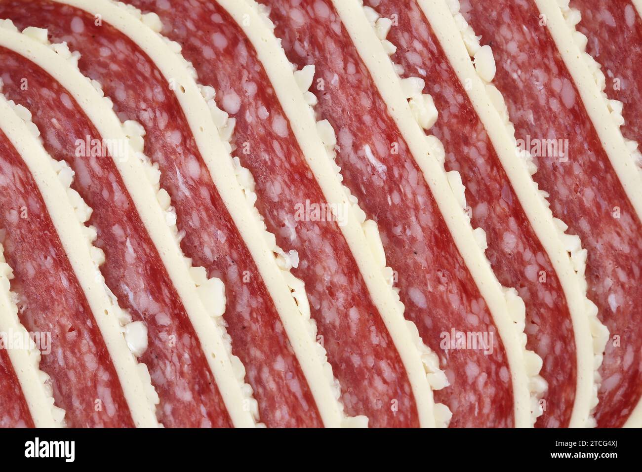 Sliced salami with cheese texture as a background, horizontal image ...