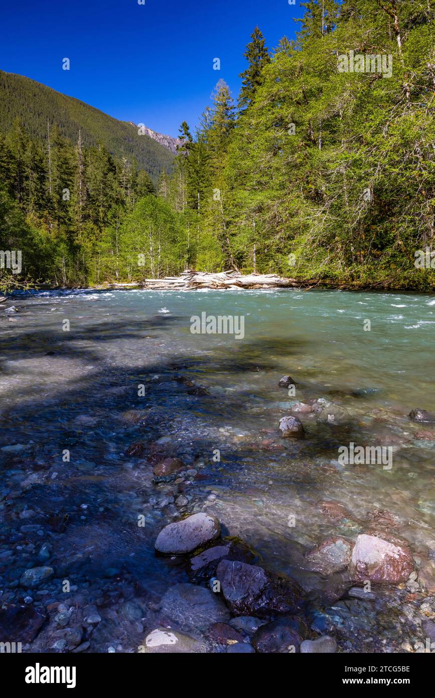 Dosewallips campground hi-res stock photography and images - Alamy