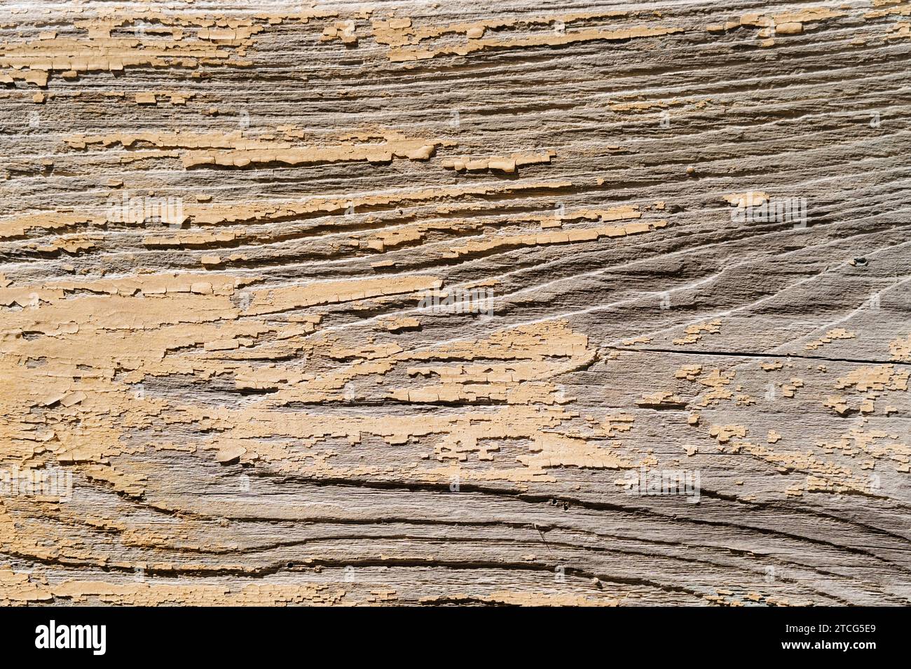 Weathered Wooden Texture with Layers of History Stock Photo - Alamy