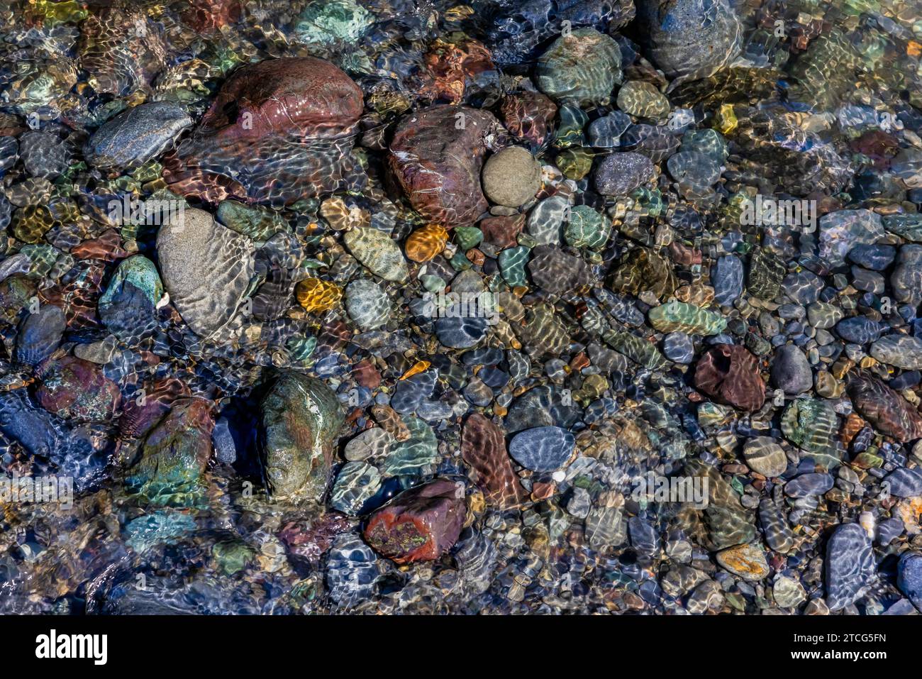 Colorful river-polished stones in Dosewallips River Valley, Olympic ...