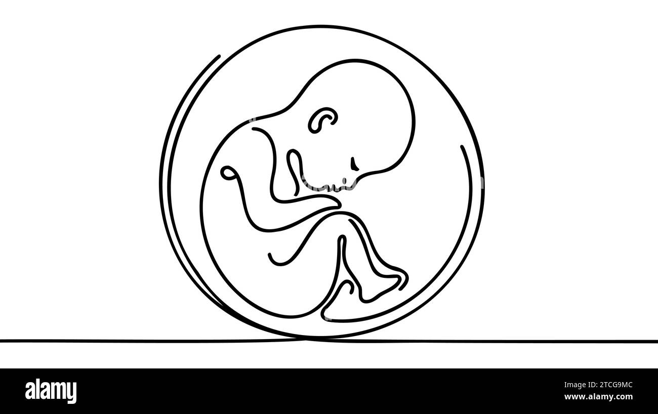 Womb baby drawing hi-res stock photography and images - Alamy