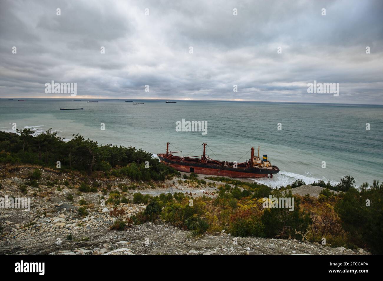 Shipwreck of cargo ship Rio on Black Sea shore Stock Photo - Alamy