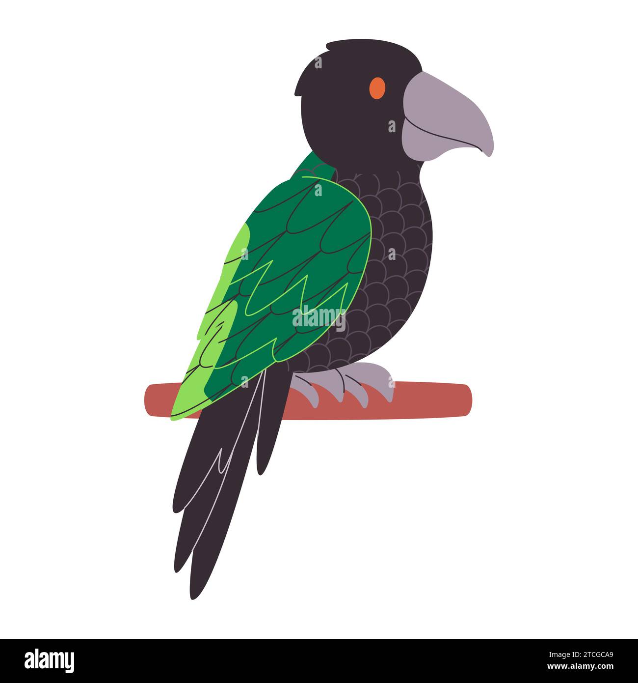 green and black color bird sisserou parrot species parrot pretty cute ...