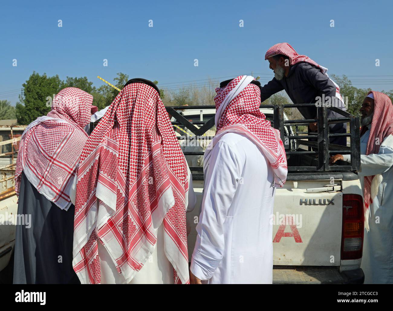 Livestock traders at a roadside auction in Saudi Arabia Stock Photo - Alamy