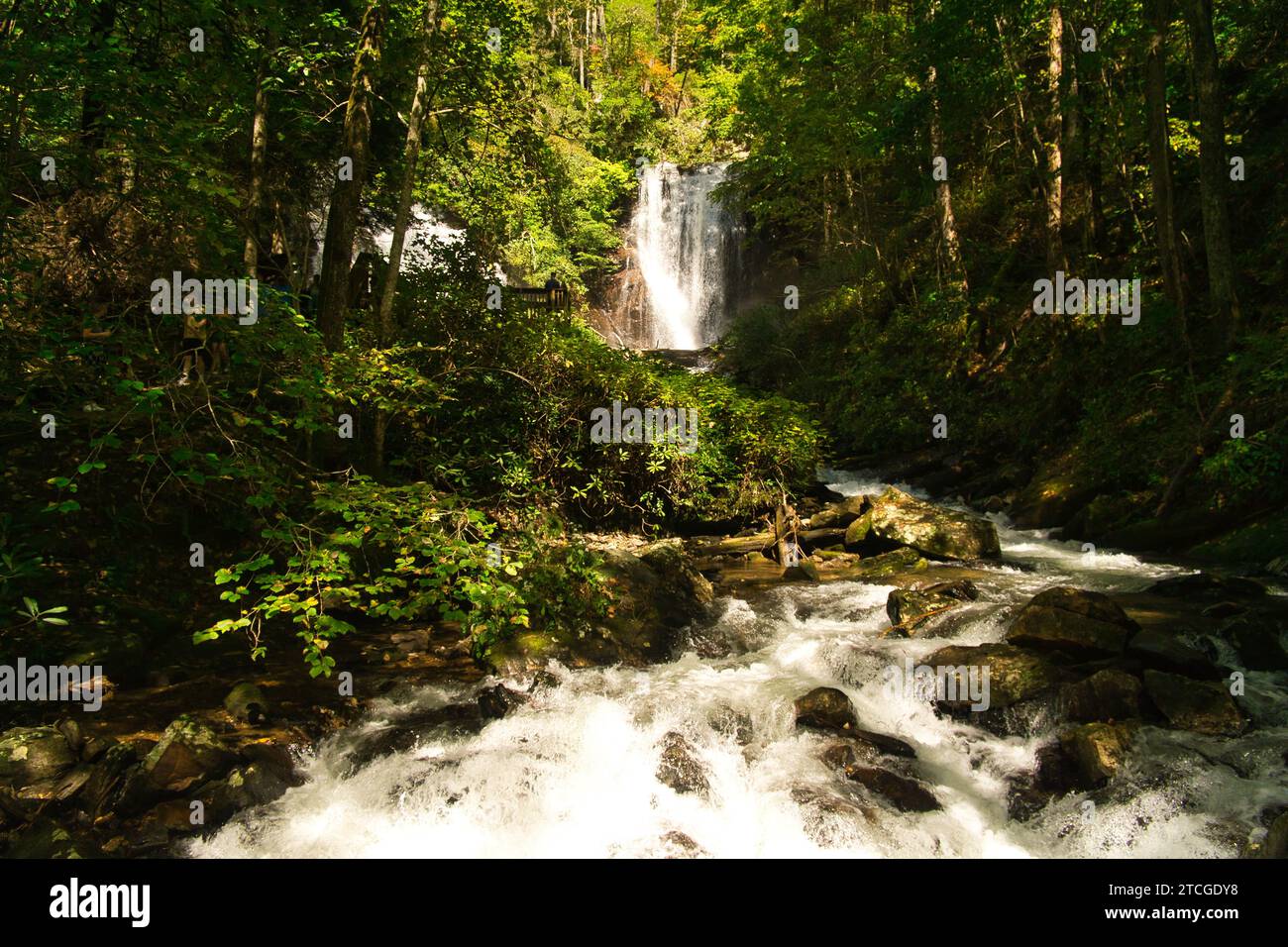 A view of water stream gushing past rocks and wood down hill in Unicoi ...