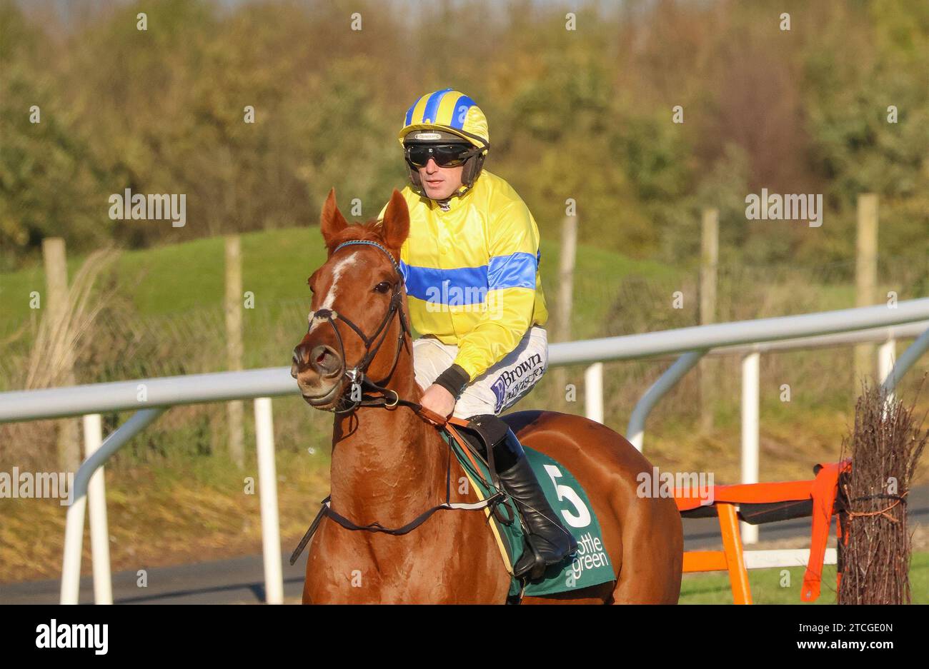 Down Royal Racecourse, Lisburn, Northern Ireland. 10th Nov 2023. The ...