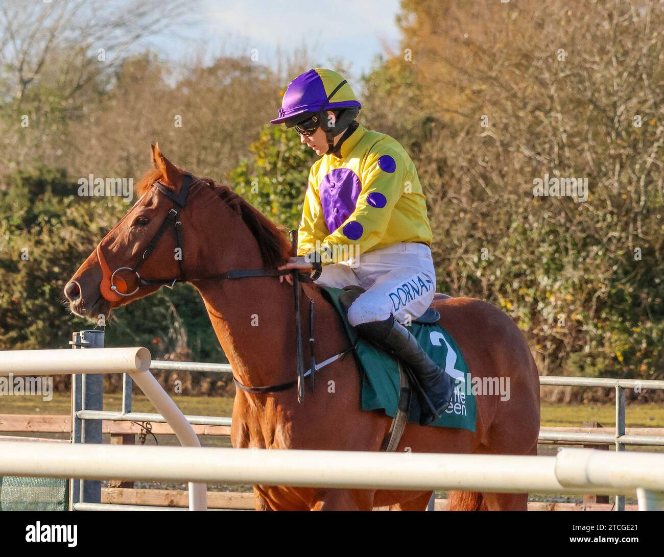 Down Royal Racecourse, Lisburn, Northern Ireland. 10th Nov 2023. The ...