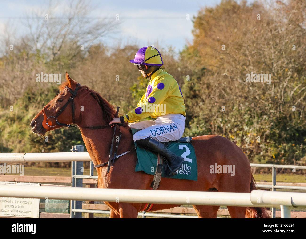 Sir allen horse hi-res stock photography and images - Alamy