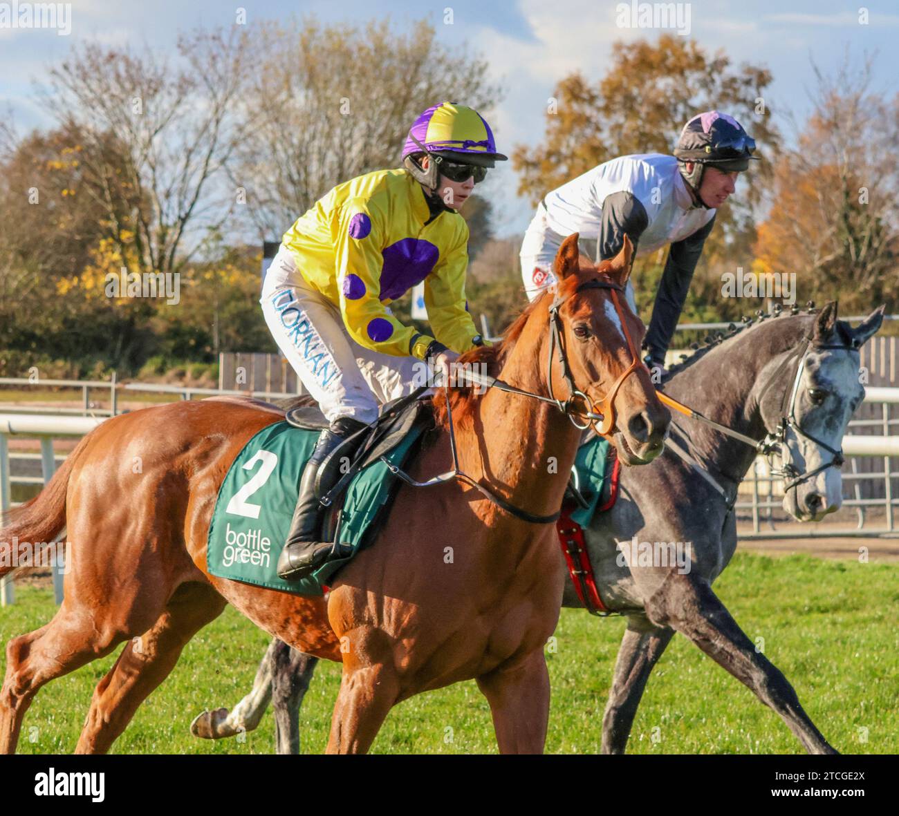 Down Royal Racecourse, Lisburn, Northern Ireland. 10th Nov 2023. The ...