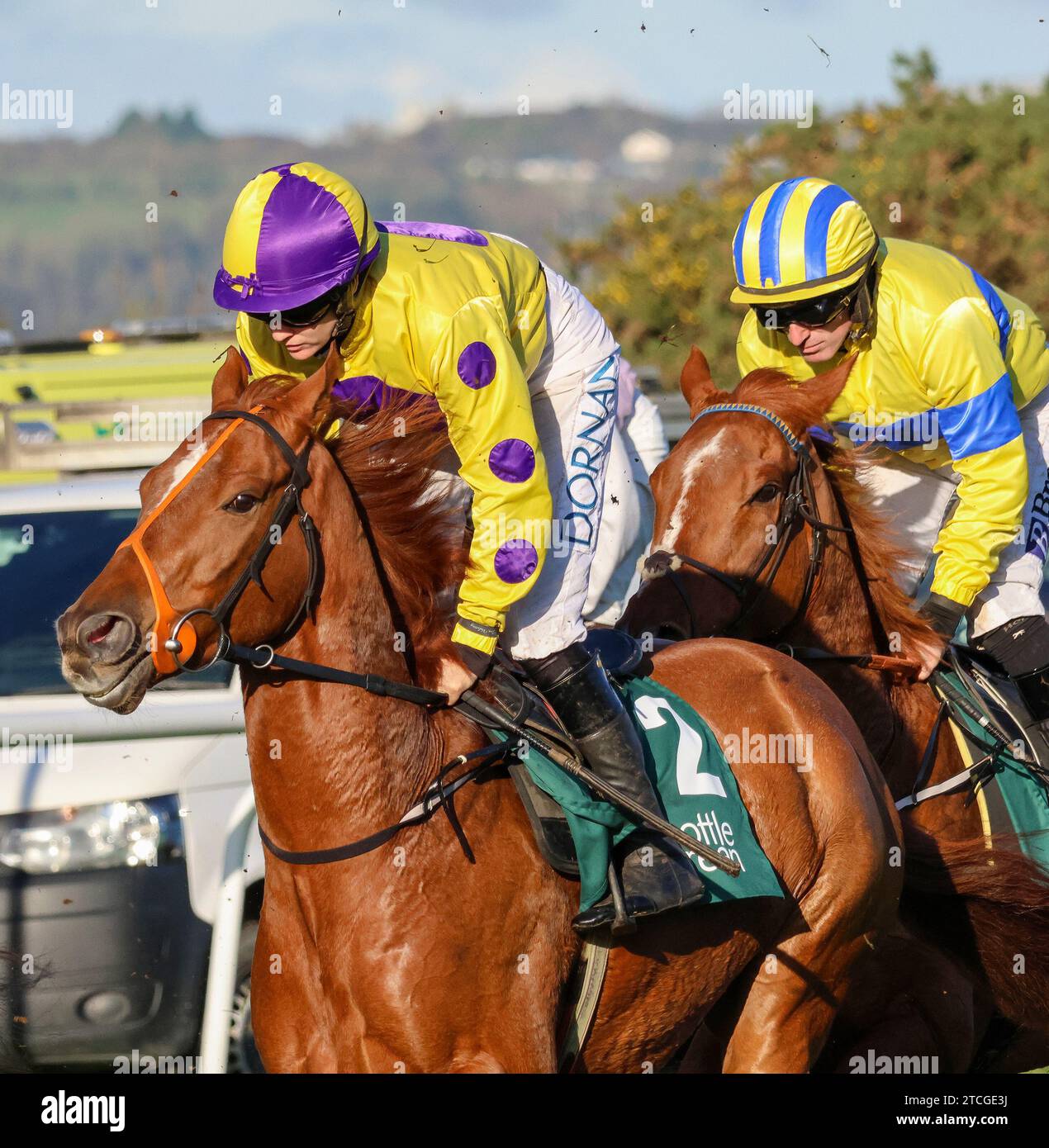 Down Royal Racecourse, Lisburn, Northern Ireland. 10th Nov 2023. The ...