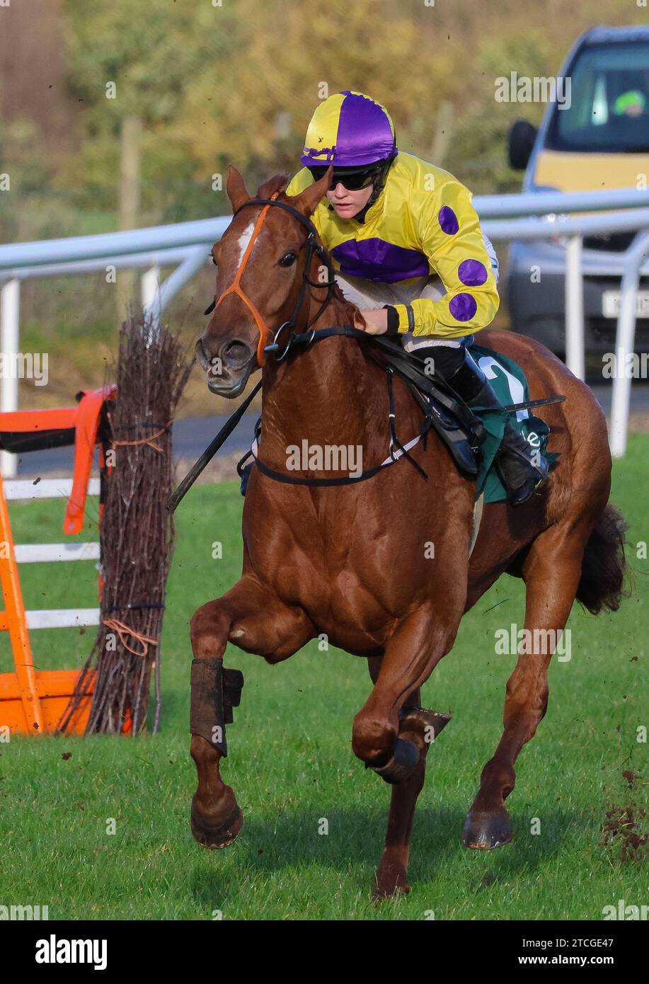 Down Royal Racecourse, Lisburn, Northern Ireland. 10th Nov 2023. The ...