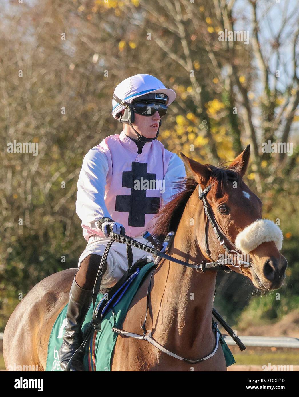 Down Royal Racecourse, Lisburn, Northern Ireland. 10th Nov 2023. The ...