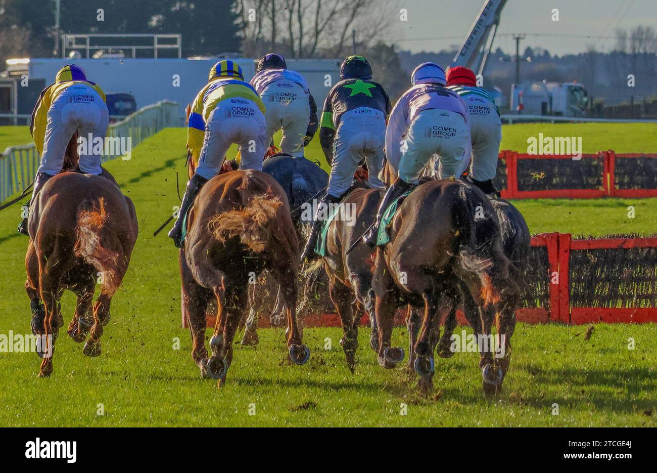 Racehorses photographed from behind - rear-view of horses competing in ...