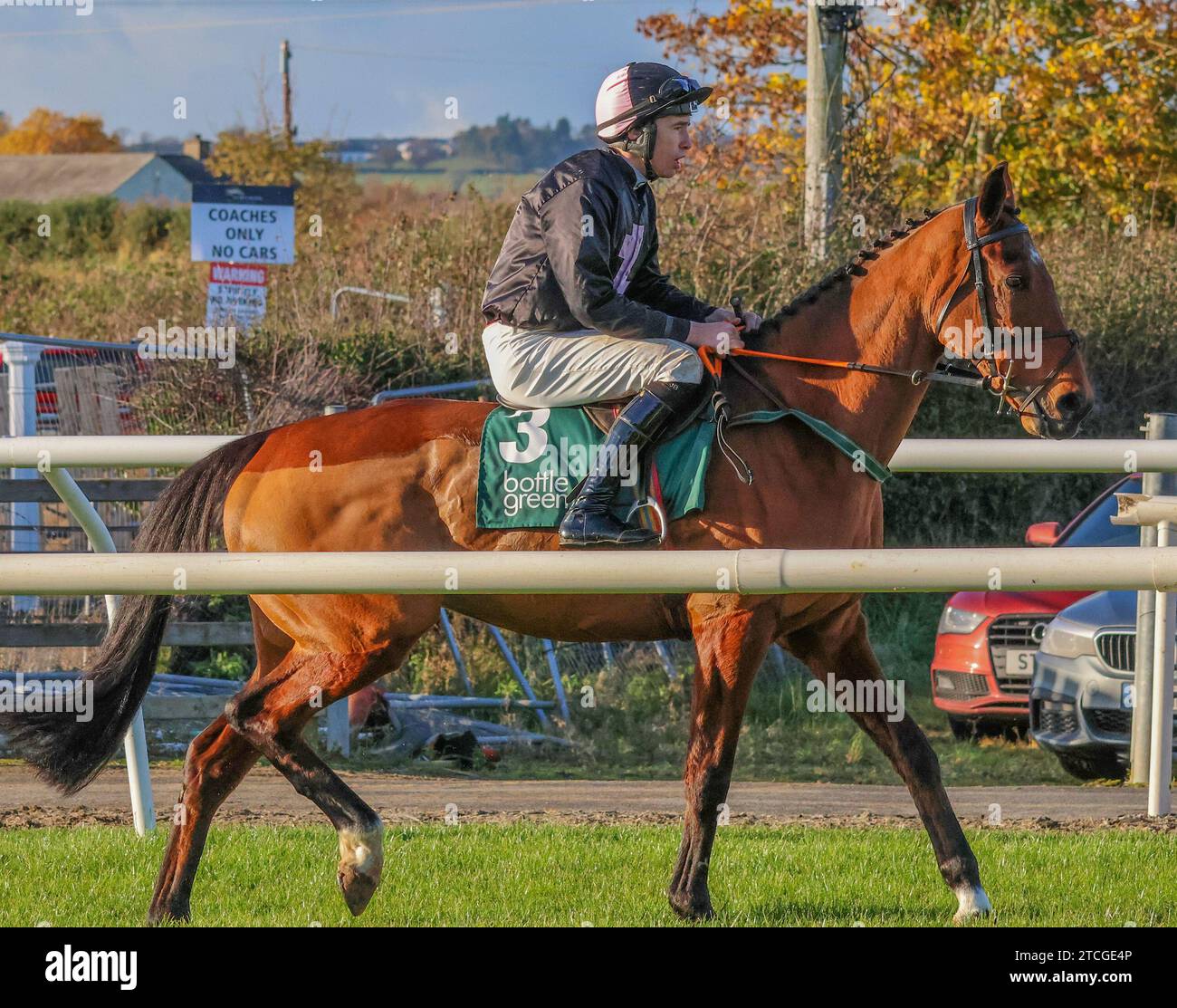 Down Royal Racecourse, Lisburn, Northern Ireland. 10th Nov 2023. The ...