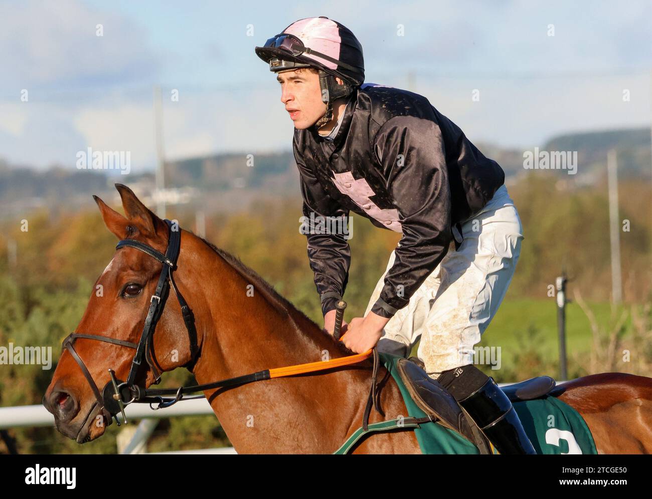 Irish jockey neill mccluskey hi-res stock photography and images - Alamy