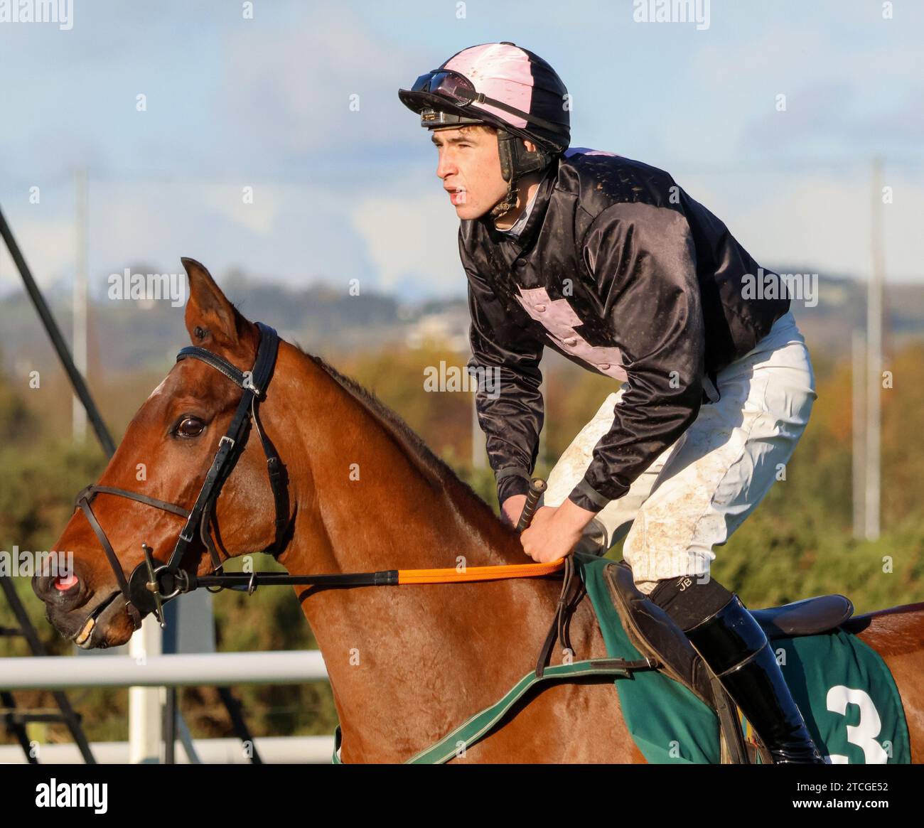 Racehorse i dont get it hi-res stock photography and images - Alamy