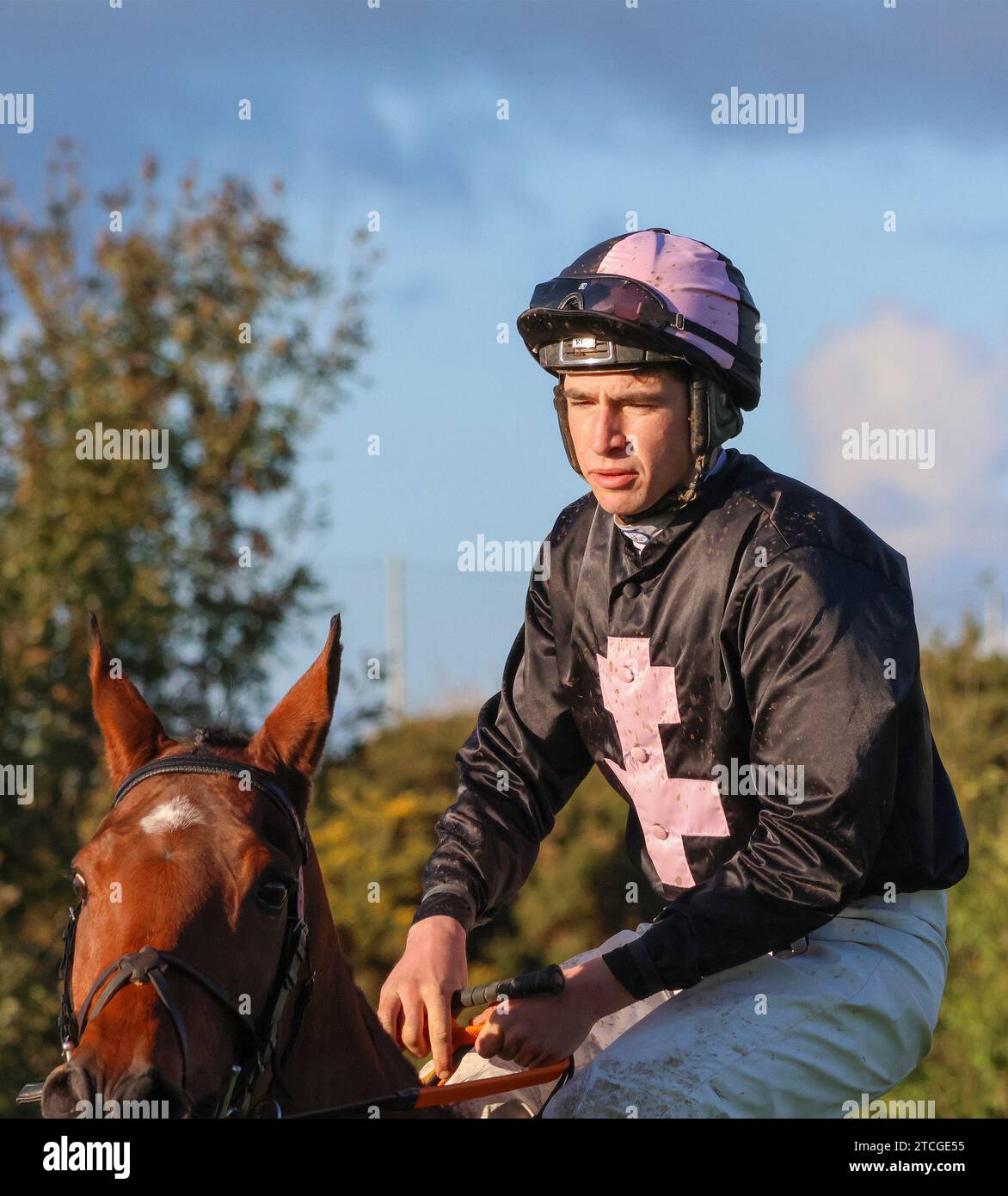 Down Royal Racecourse, Lisburn, Northern Ireland. 10th Nov 2023. The ...