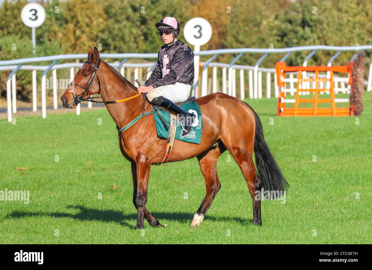 Irish jockey neill mccluskey hi-res stock photography and images - Alamy