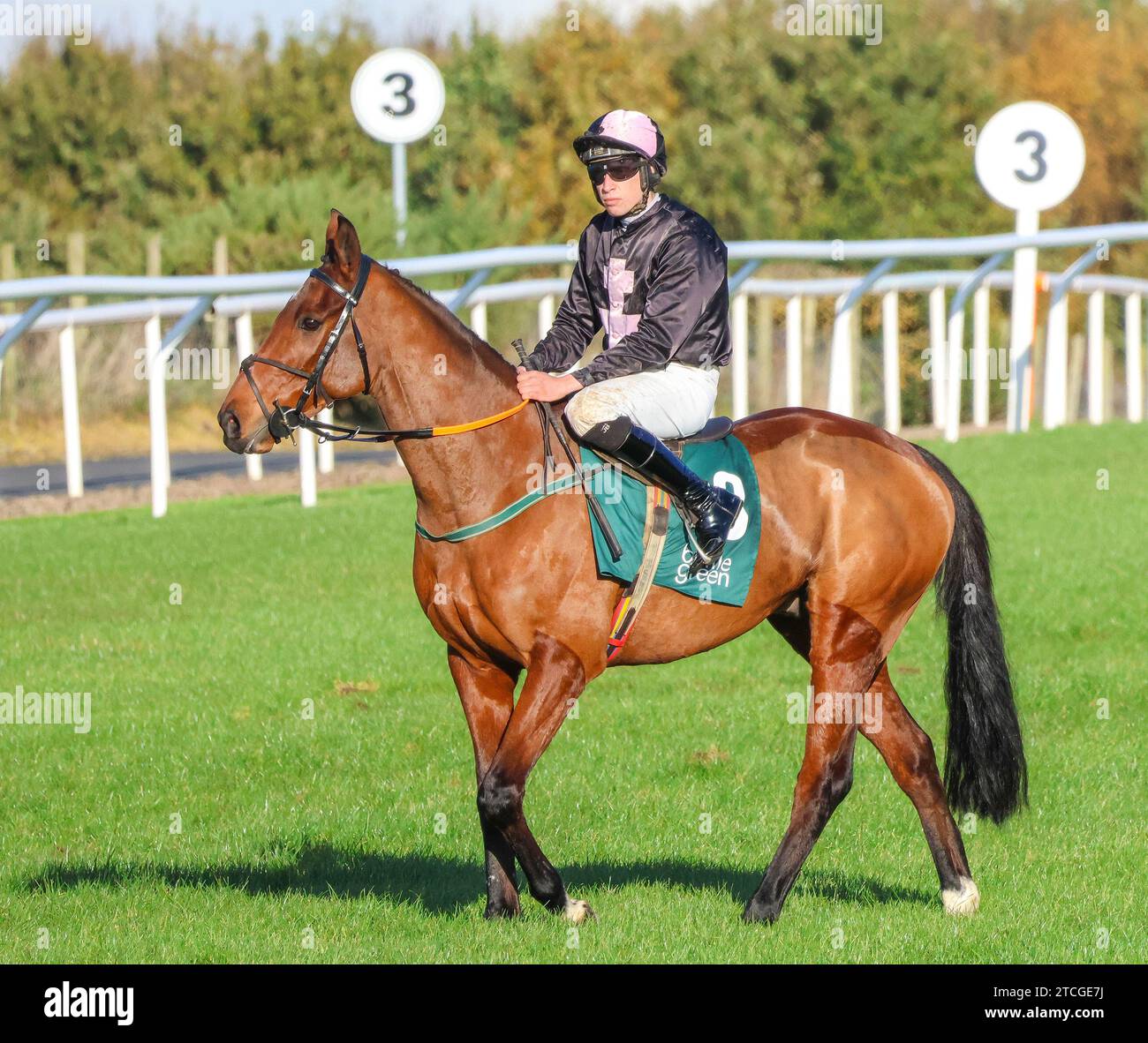 Down Royal Racecourse, Lisburn, Northern Ireland. 10th Nov 2023. The ...