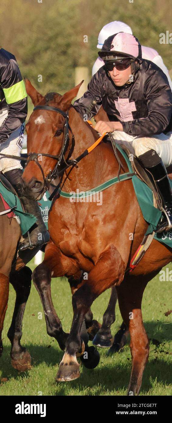 Down Royal Racecourse, Lisburn, Northern Ireland. 10th Nov 2023. The ...