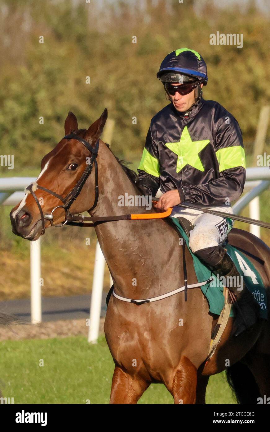 Magical zoe horse hi-res stock photography and images - Alamy
