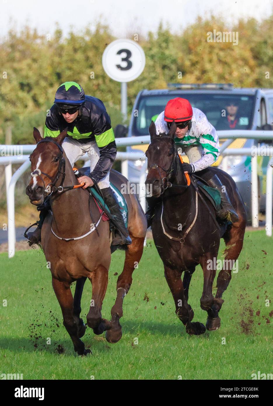 Magical zoe horse hi-res stock photography and images - Alamy