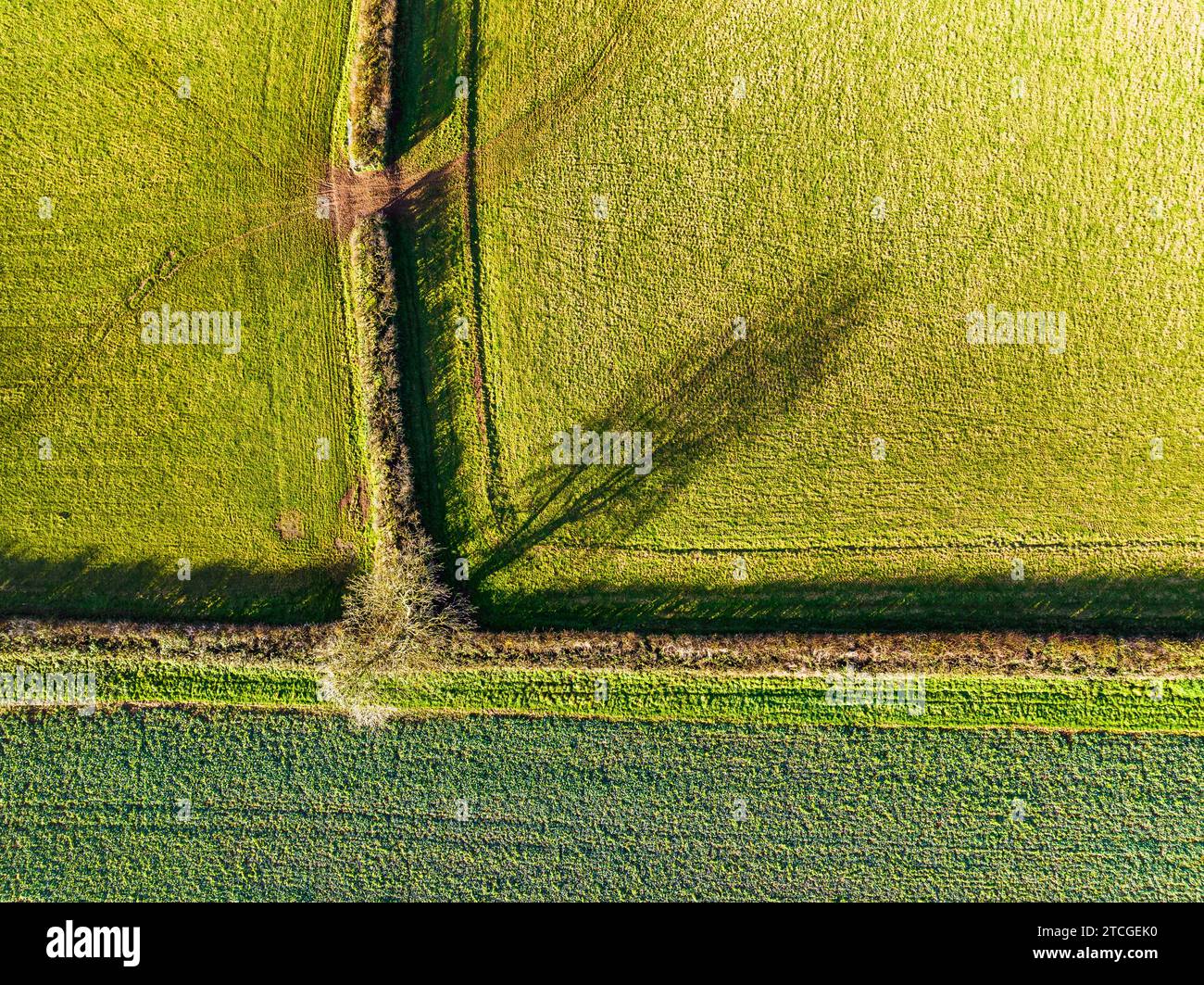 Top Down over Fields and Farms from a drone, Devon, England, Europe ...