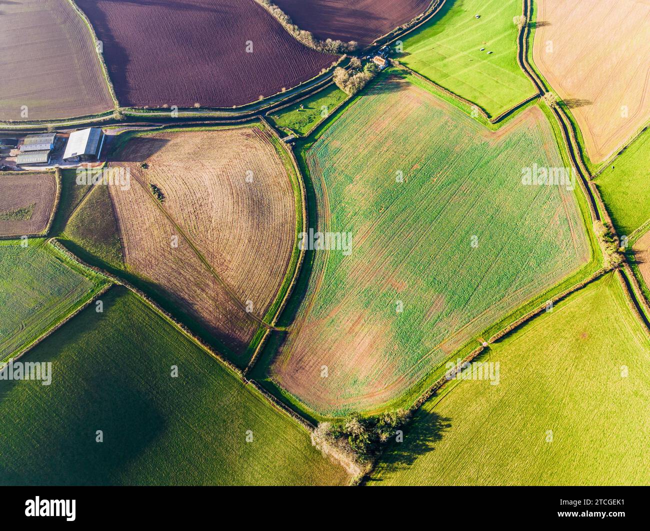 Top Down over Fields and Farms from a drone, Devon, England, Europe ...