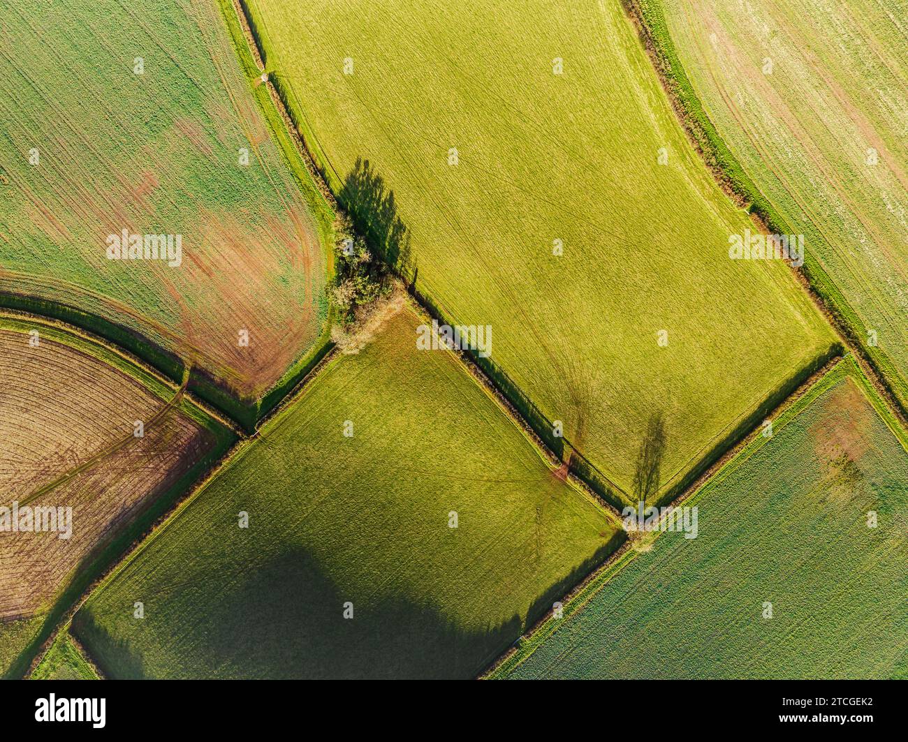 Top Down over Fields and Farms from a drone, Devon, England, Europe ...