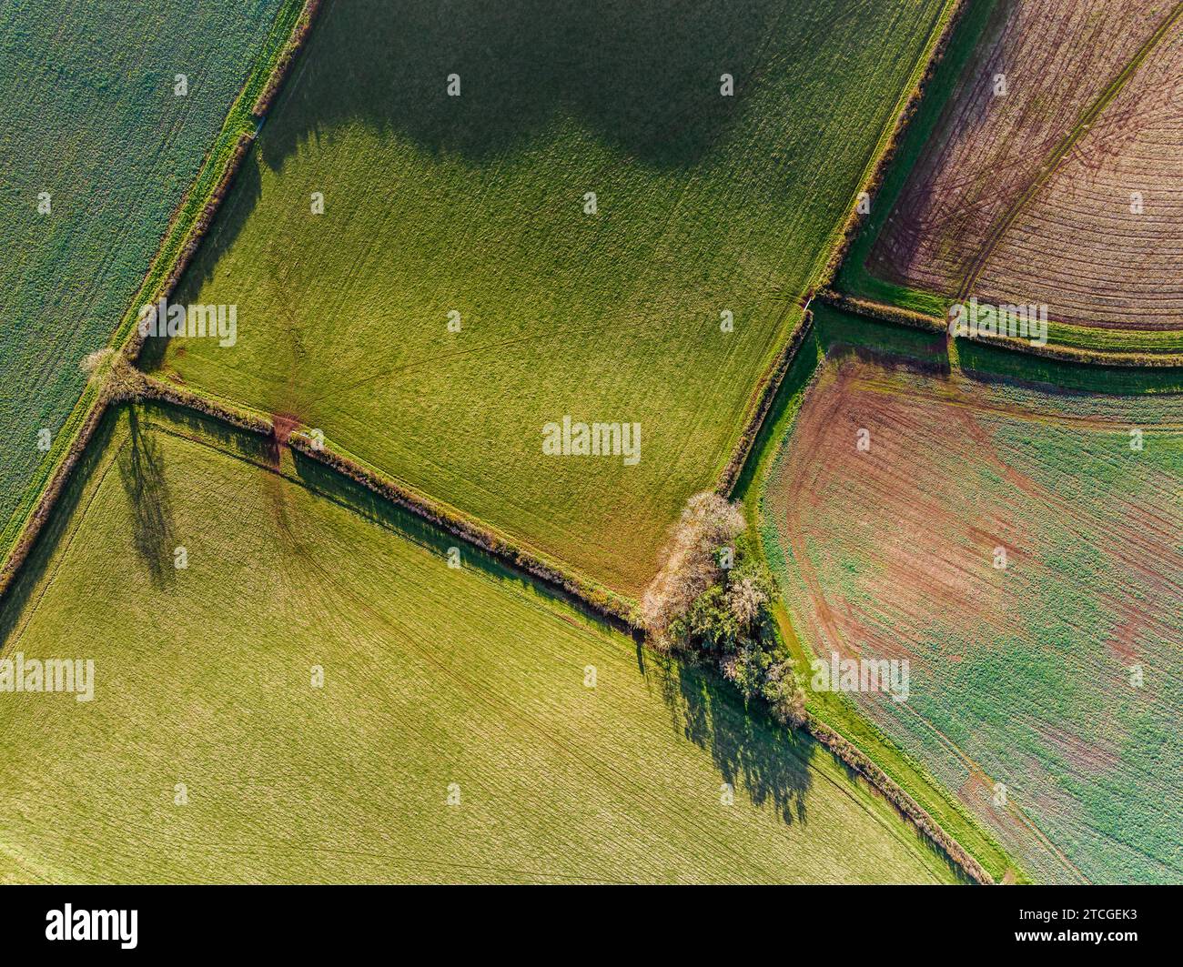 Top Down over Fields and Farms from a drone, Devon, England, Europe ...