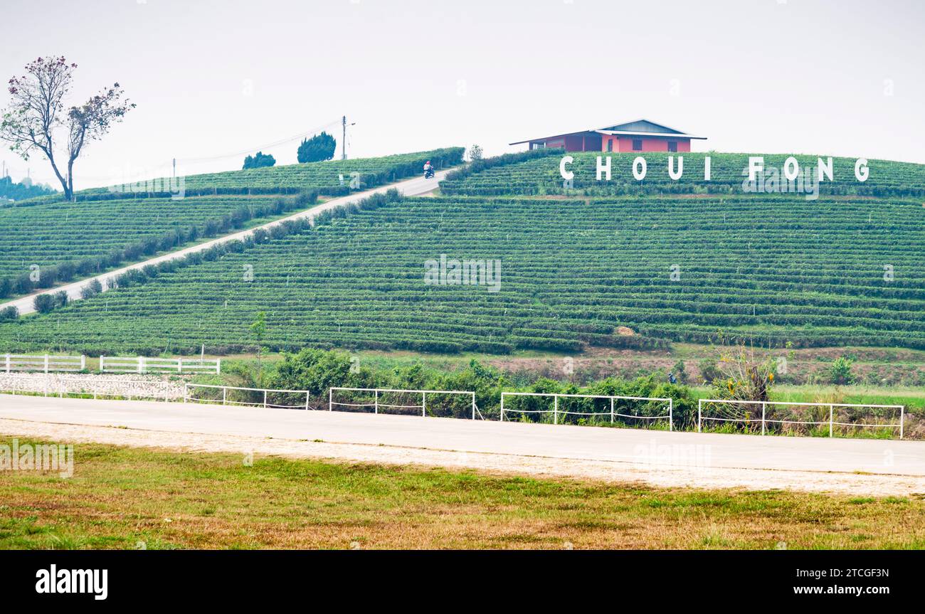 Mae Chan District, Chiang Rai,Thailand-March 30 2023: During the so called hazy,smokey 'Burning ...
